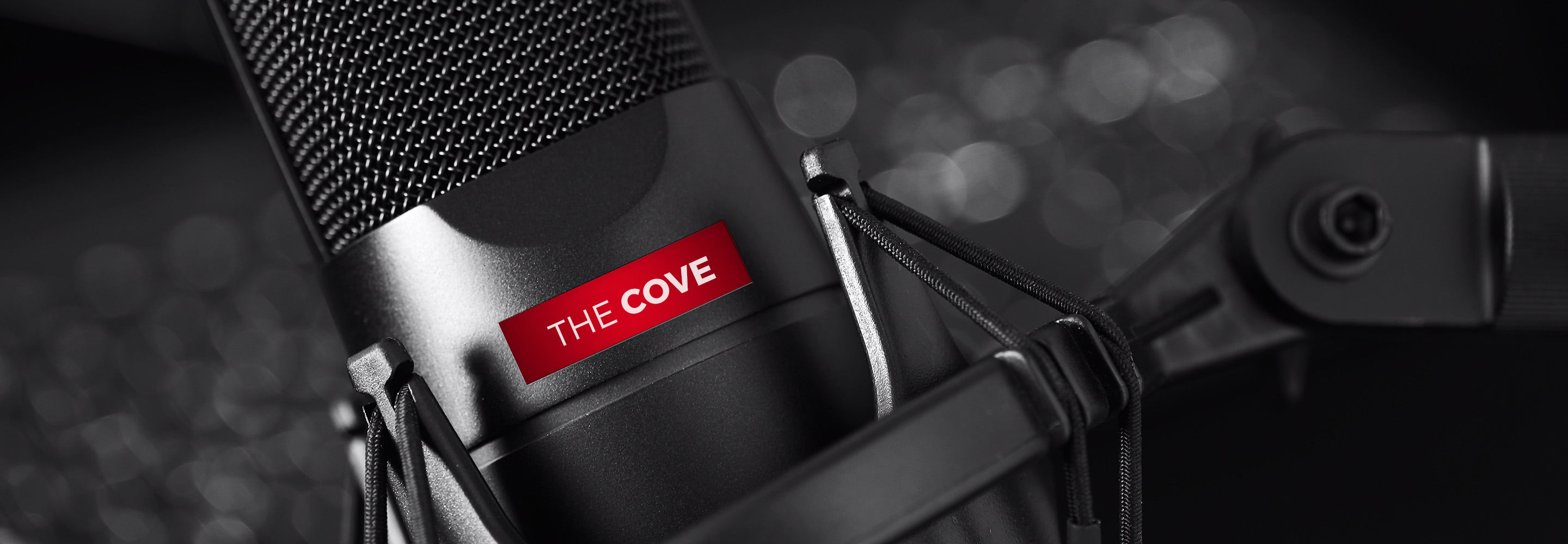 Audio Articles: Listen to The Cove's Best | The Cove