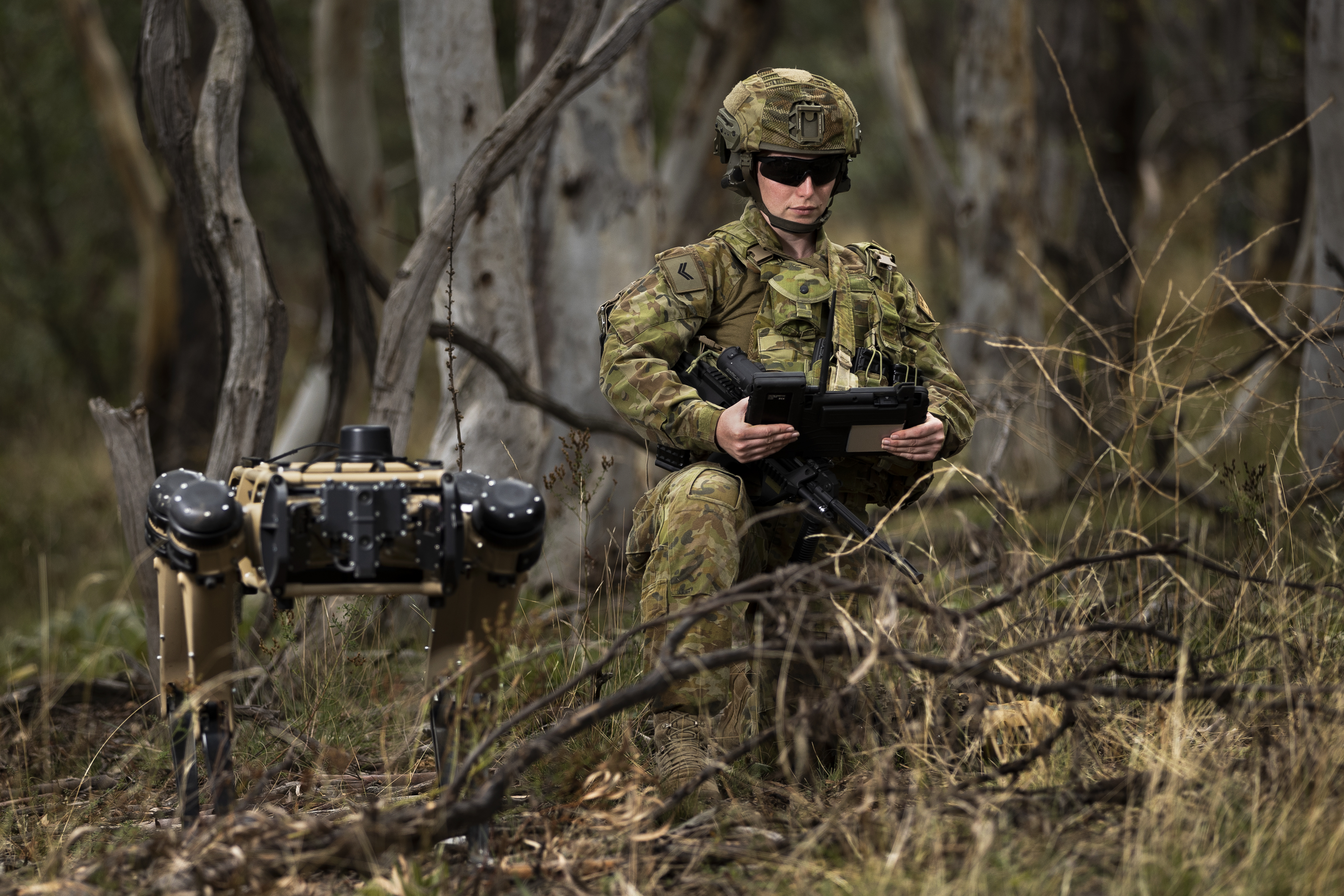 Are 'Warbots' Changing the Future of Warfare? | The Cove