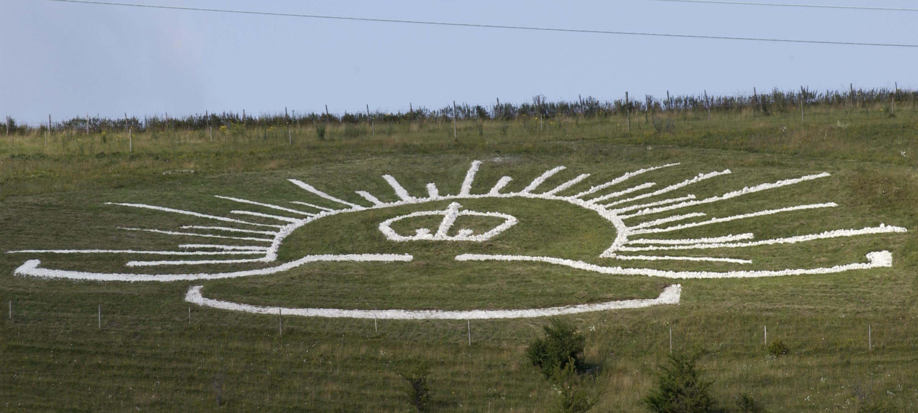 Unified Defence Values and Behaviours | The Cove