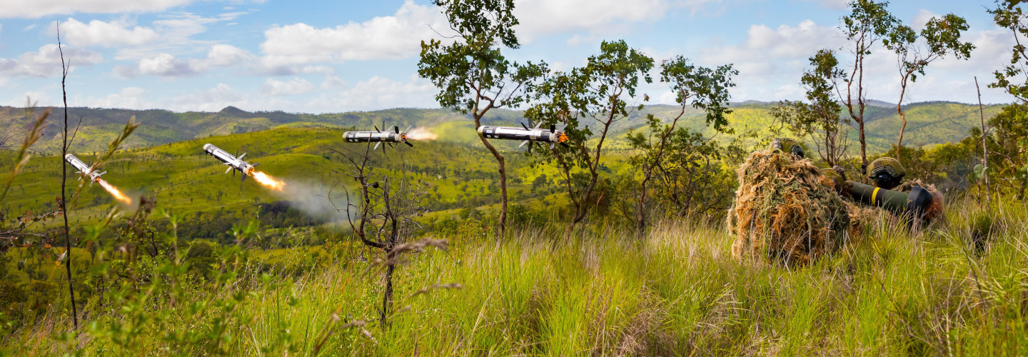 Anti-Armour in the Littoral | The Cove