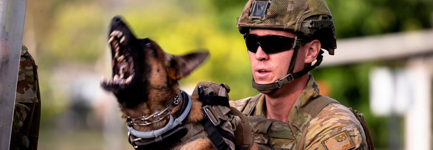 The Manoeuverist's Guide to Military Police: Mobility and Manoeuvre ...