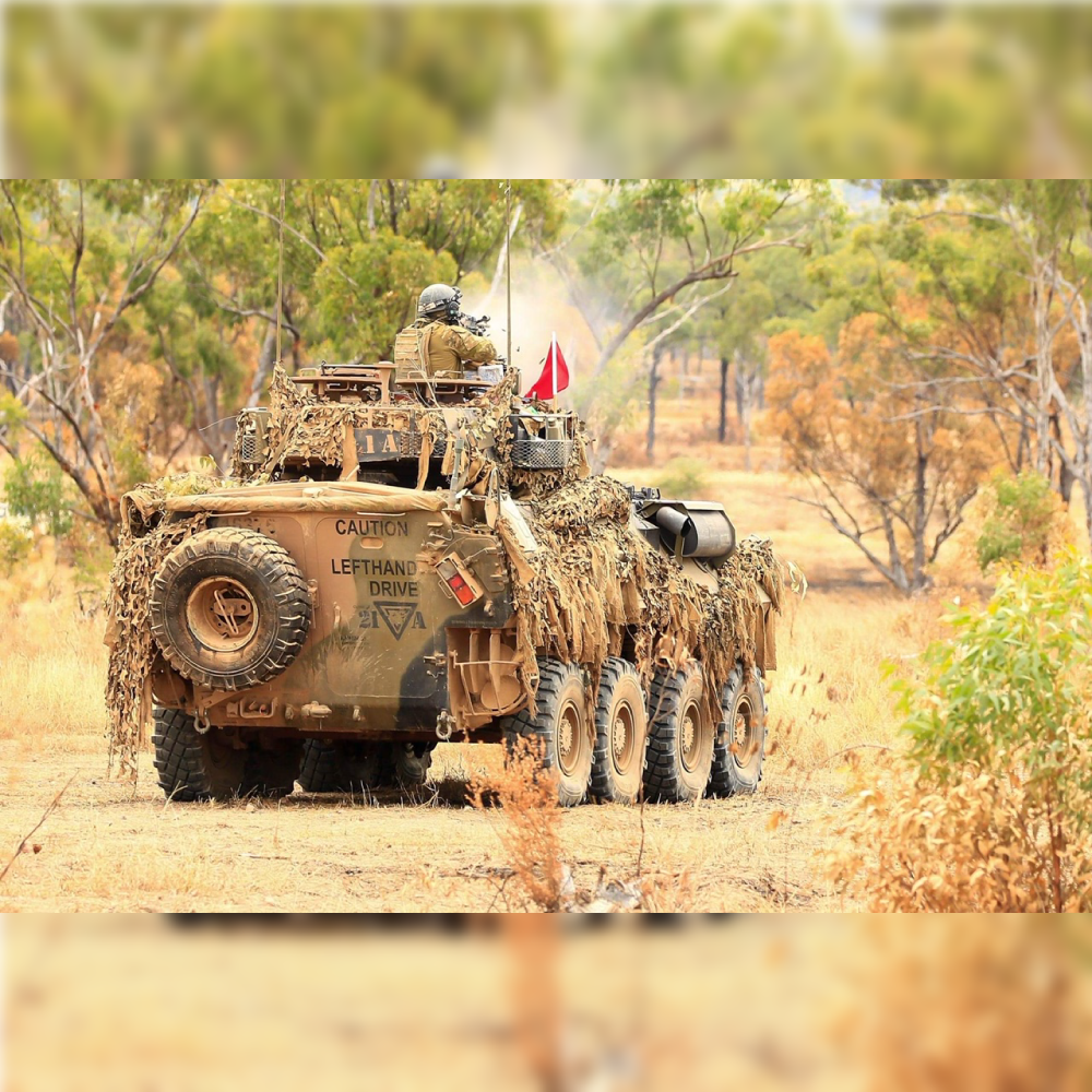 Reflection from an RSM | The Cove