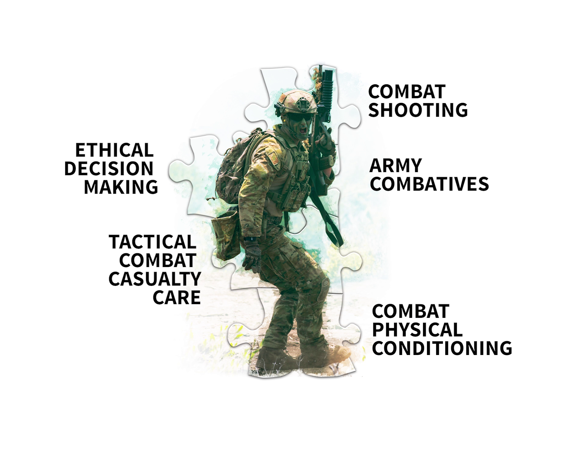 Combat Behaviours | The Cove