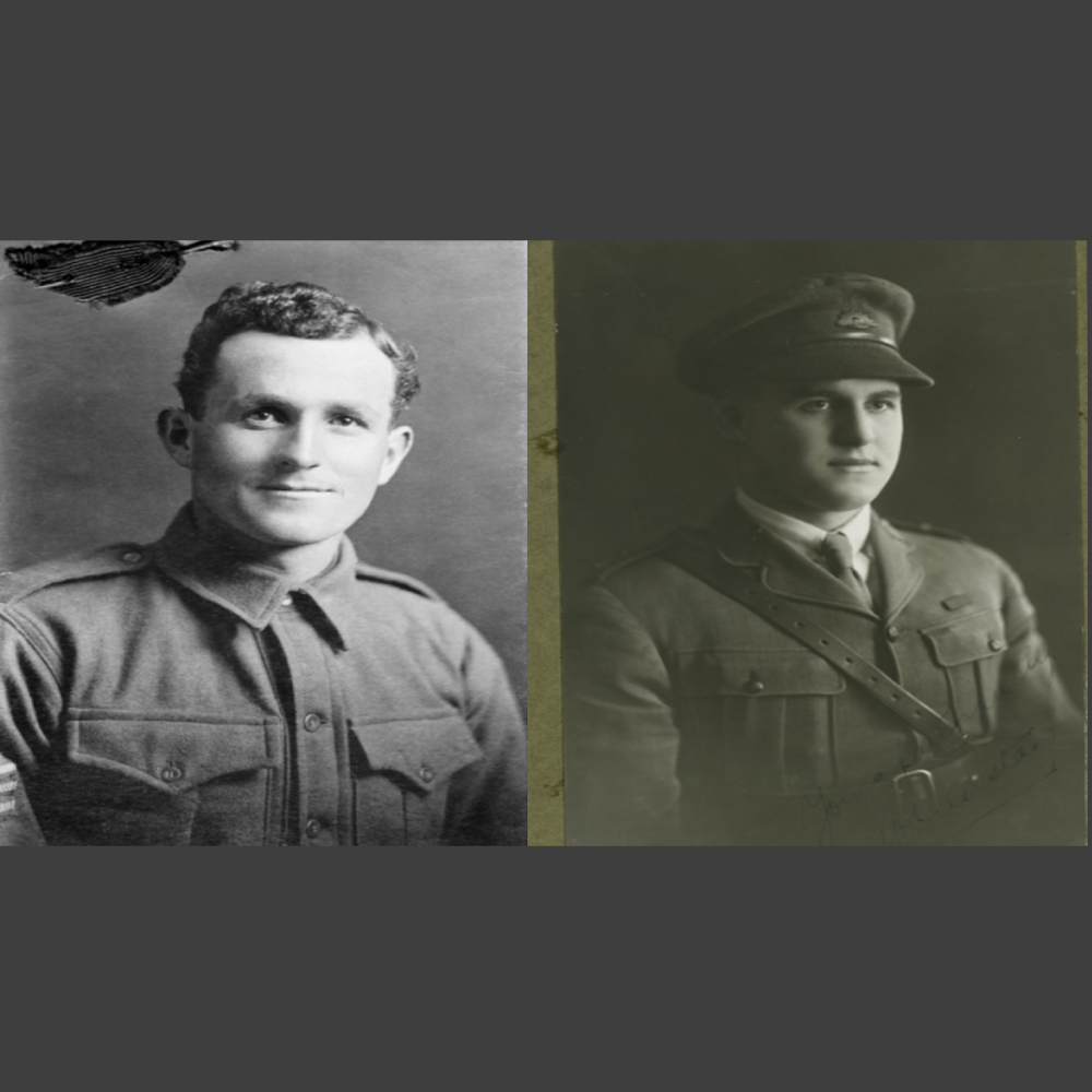 The Highest Honour #15 | William Dunstan | John Dwyer | The Cove