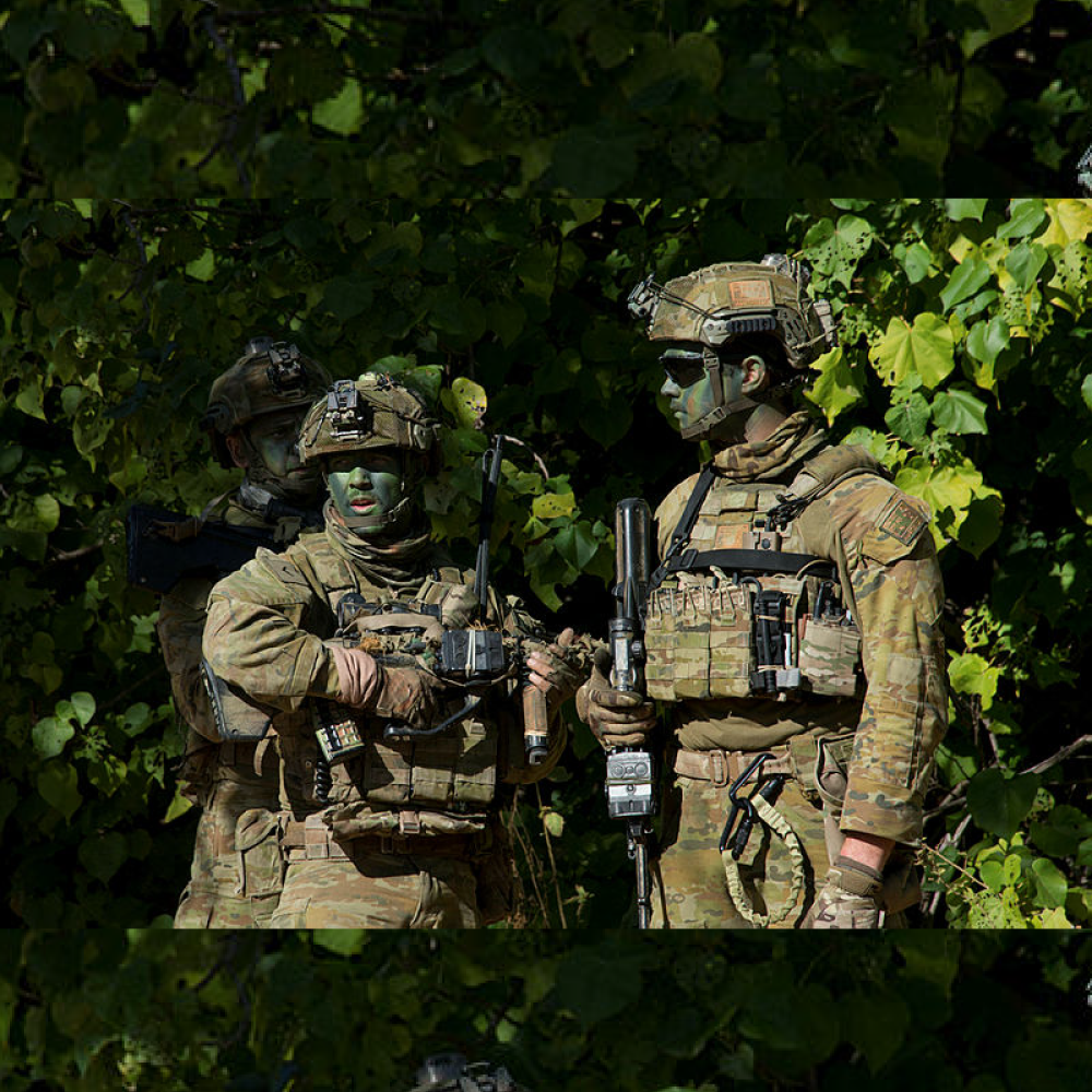 Leadership for the Profession of Arms – Good Soldiering With a Capital ...