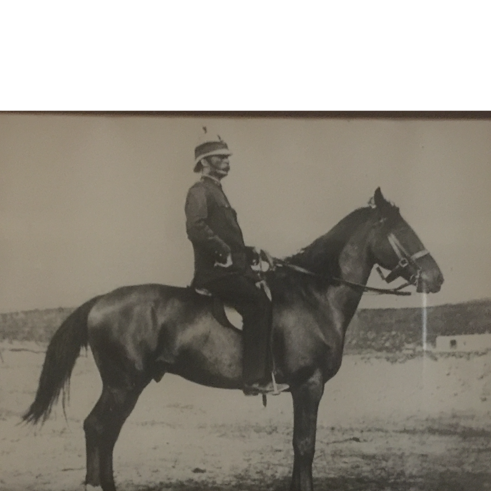 Medals Of The Month - March 2020 | Sergeant Major Henry Green | The Cove